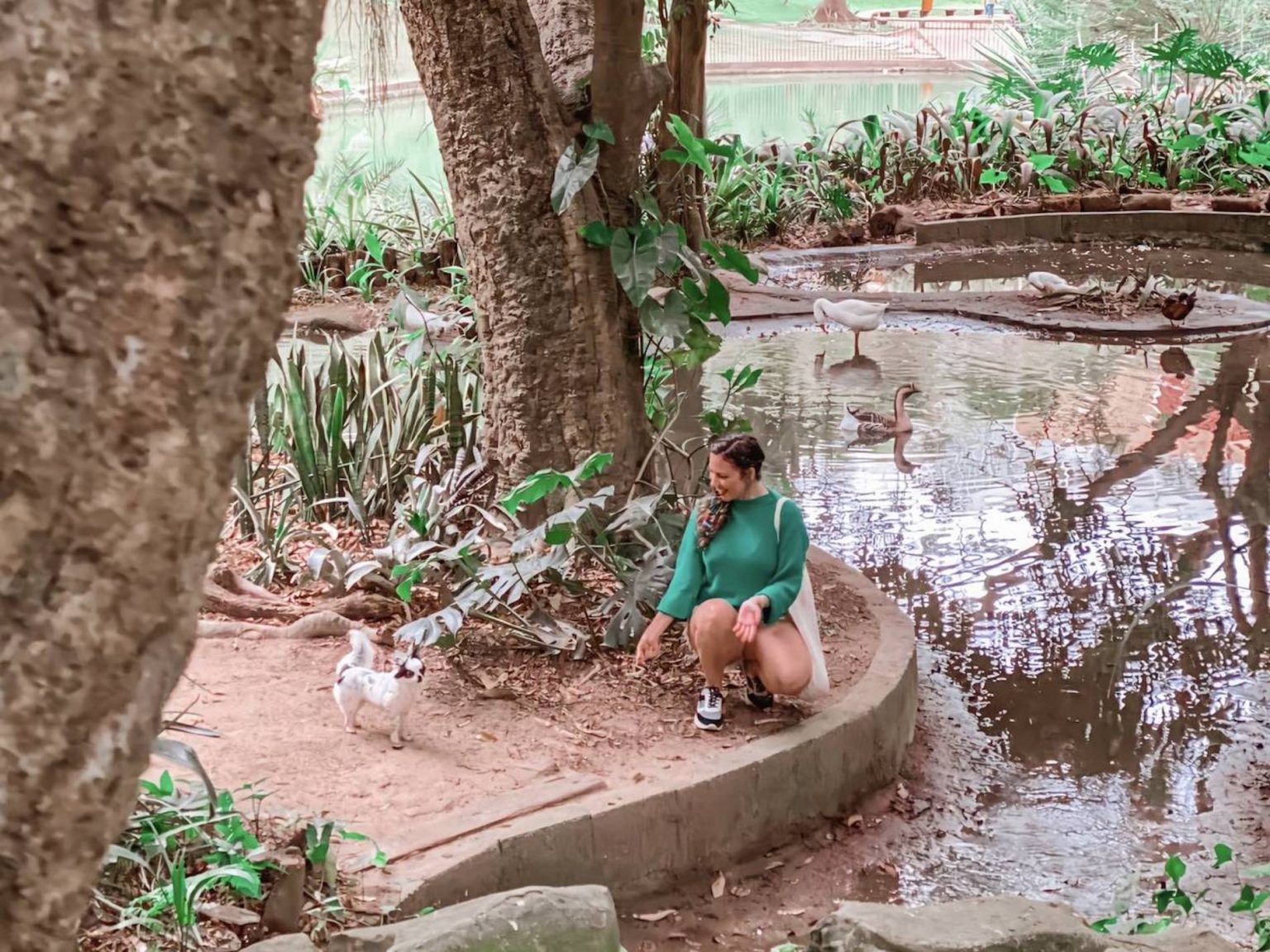 Parque Guinle: Tudo que você precisa saber antes de ir | Viaje na Web